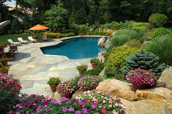 Oasis Pool Landscaping Ideas | Lake Norman Signature Pools & Patios